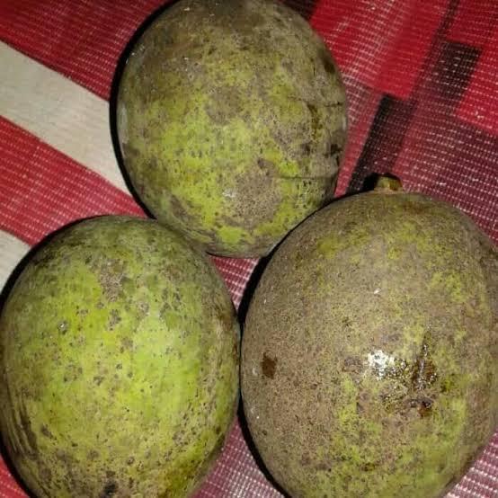 buah pakel limus segar 1kg | Lazada Indonesia