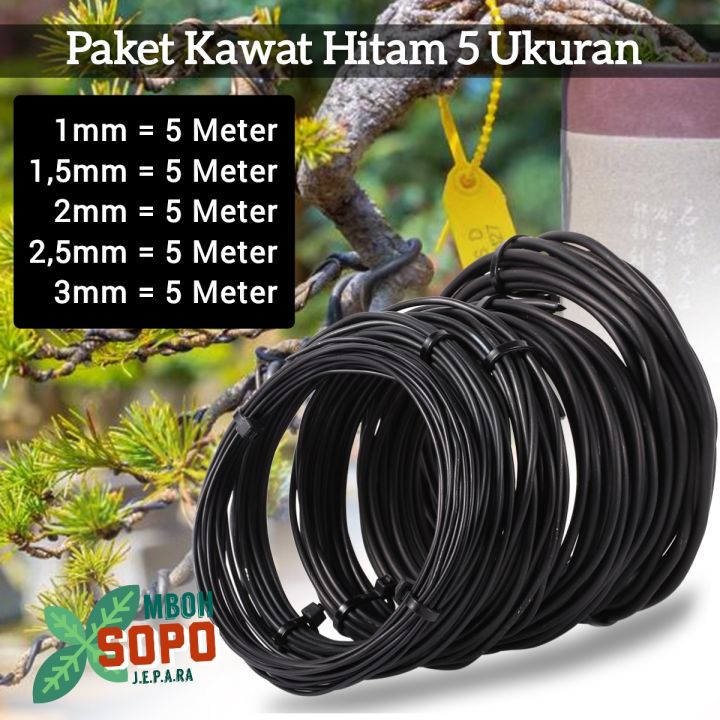 Alat Bonsai, Kawat Bonsai Hitam, 5 Ukuran | Lazada Indonesia