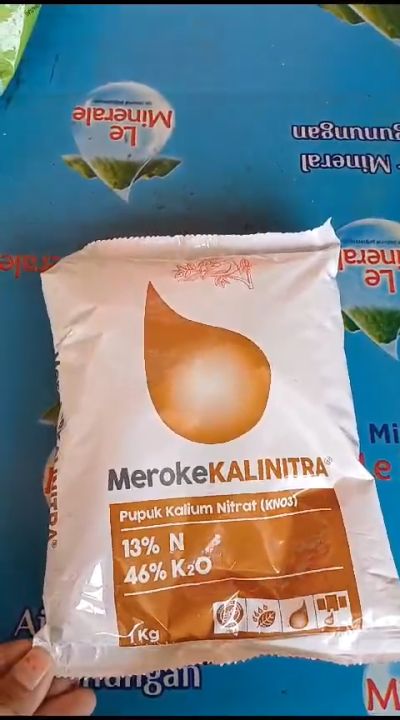 Pupuk hidroponik Meroke KALINITRA 1 kg | Lazada Indonesia