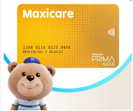 Prima Gold Maxicare Prepaid Card | Lazada PH