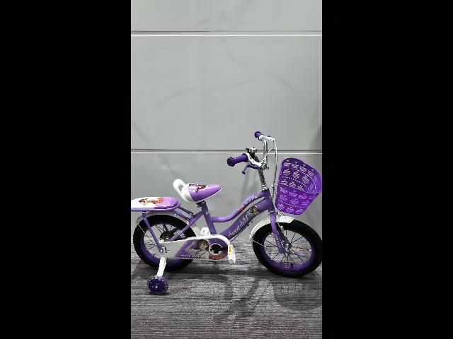 Basikal kanak-kanak Kids Bicycle 12/14/16/18 Inches Basikal Budak With ...