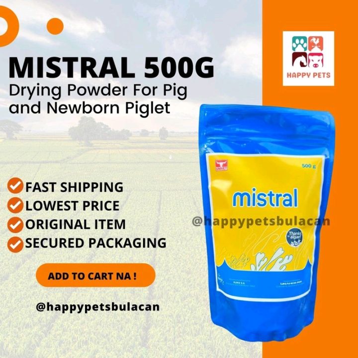 Mistral Drying Powder 500g | Lazada PH
