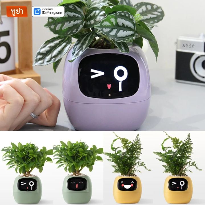 Tuya Ivy Smart Planter,ความสนุกไม่รู้จบกว่า 49 Expression ที่หลากหลาย ...