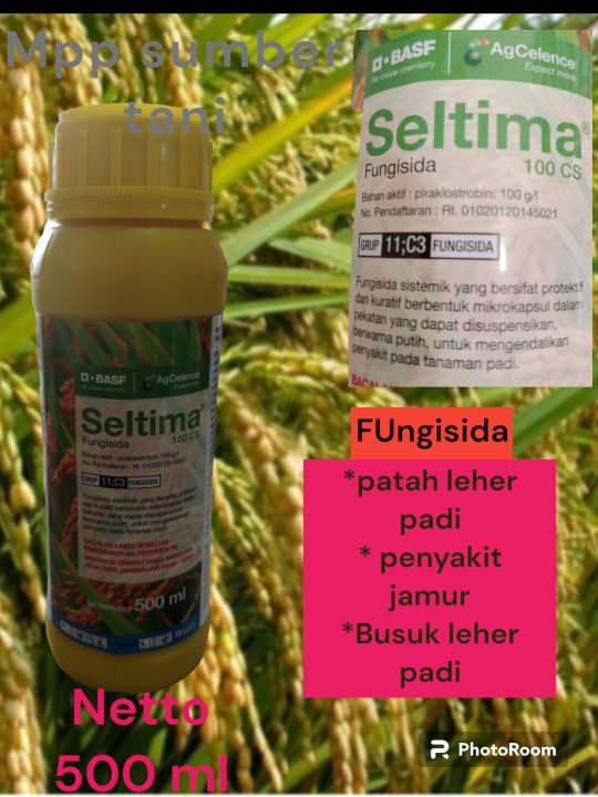 Seltima piraklostrobin 100Cs fungisida busuk leher tanaman padi netto ...