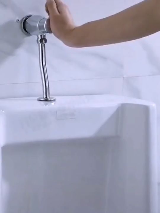 Sincecu Toilet Flush Valve Mannual Time Delay Flush Urine Valve Push ...