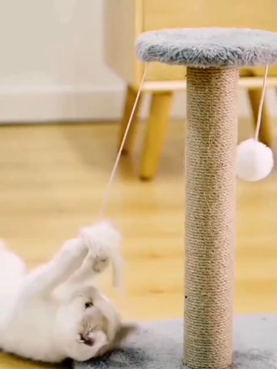 🔥NEW🔥Cat Scratching Post Scratcher Cat Scratching Pad & Posts Cat ...