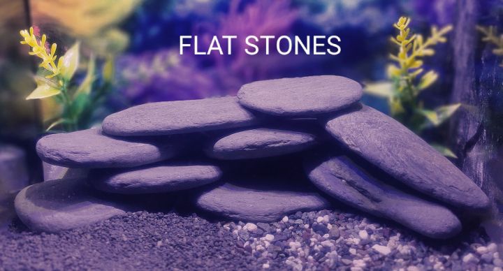 1KG FLAT STONES FOR YOUR AQUARIUM AQUASCAPING | Lazada PH