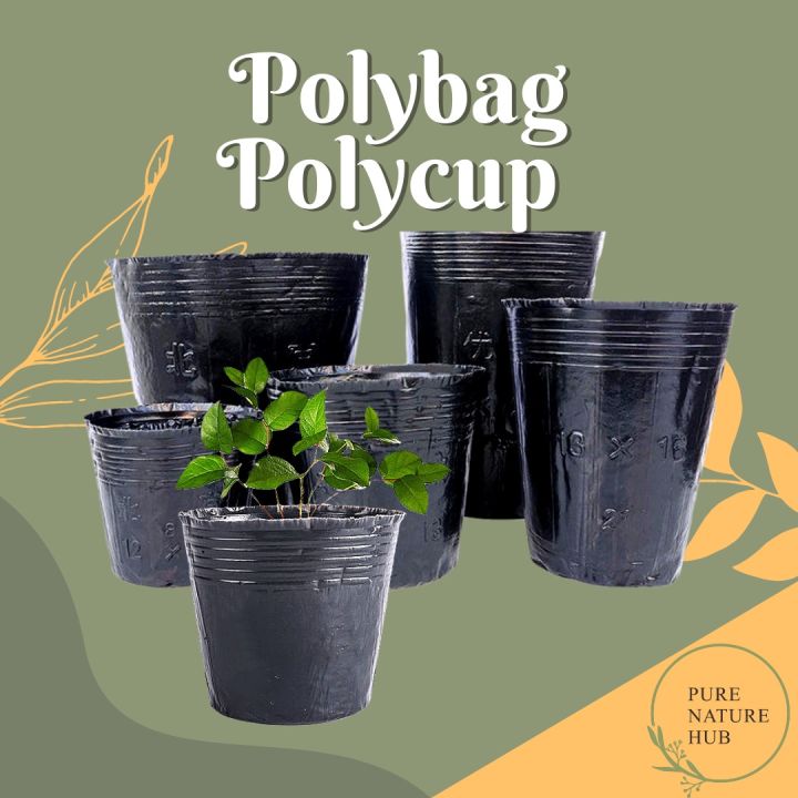 Poly bag Poli Cawan Hitam Nursery Planting Semaian Fertigasi Seedling ...