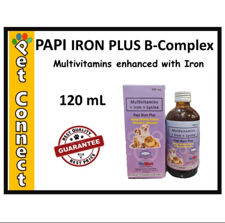 Papi IRON Plus B-Complex Multivitamins 120mL Papi Bion | Lazada PH