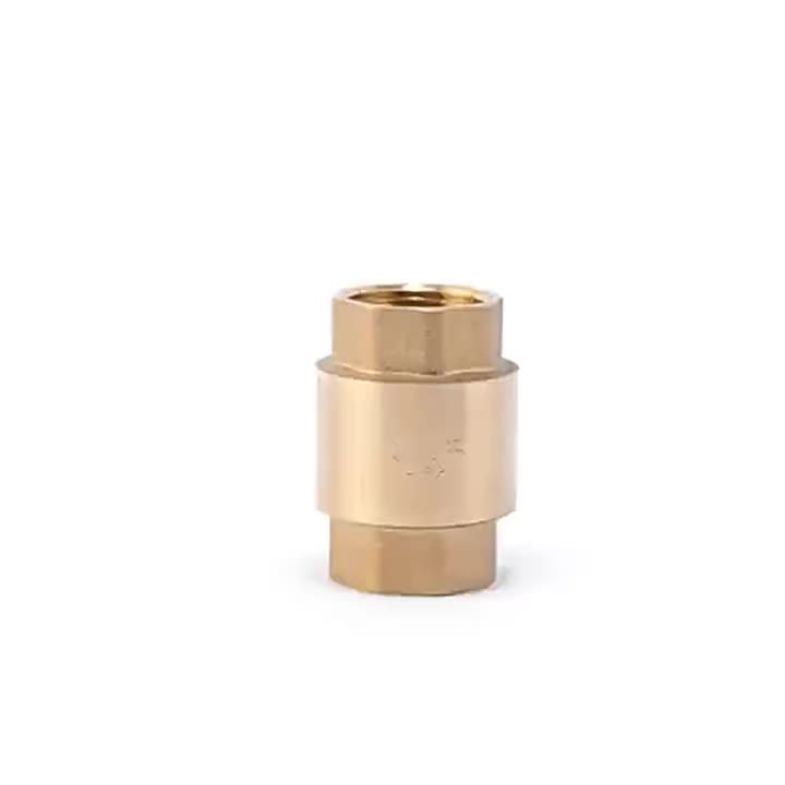 Copper Forged Thickened Anti-Waterproof Self-Priming Pump Check Valve ...