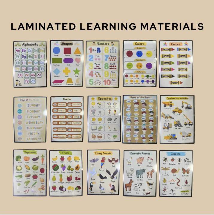 Educational Chart Laminated | Lazada PH