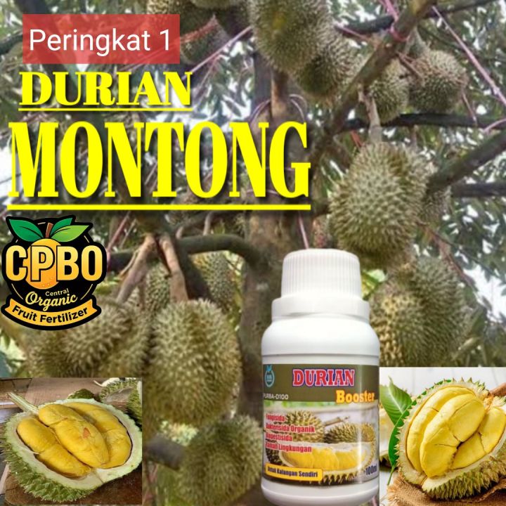 Pupuk Booster Durian Montong Organik Daging Tebal Manis Tekstur Lembut | Lazada Indonesia