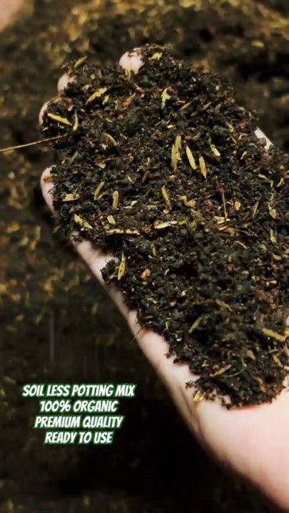 (1Kg) Soil Less Potting Mix (100% Organic) Ready to use to your plants ...