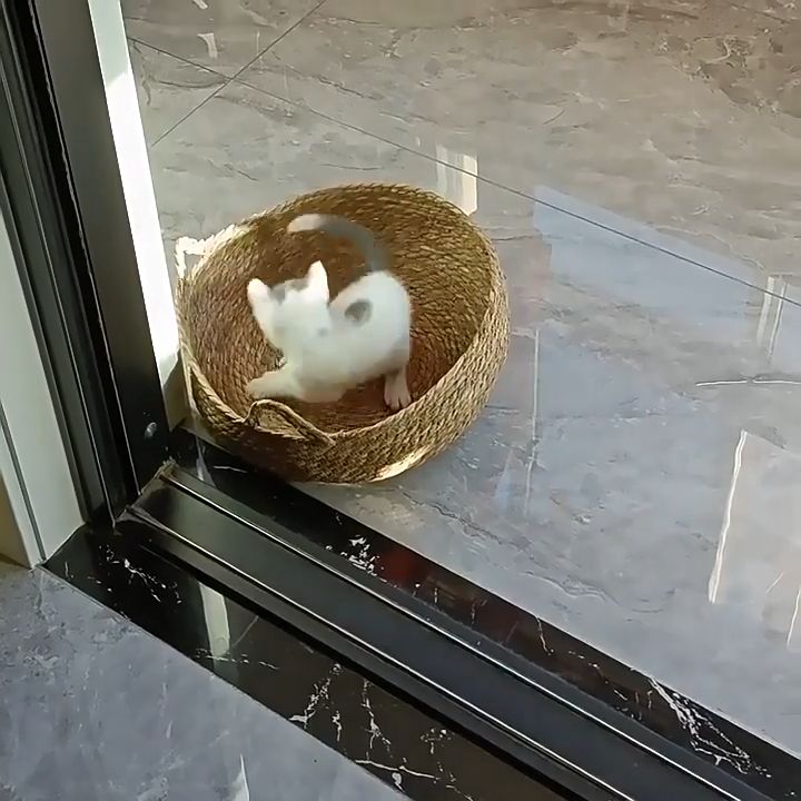 Cat Nest Cat Bed Rattan Grass Vine Woven Cattail Grass Cat Nest Cat