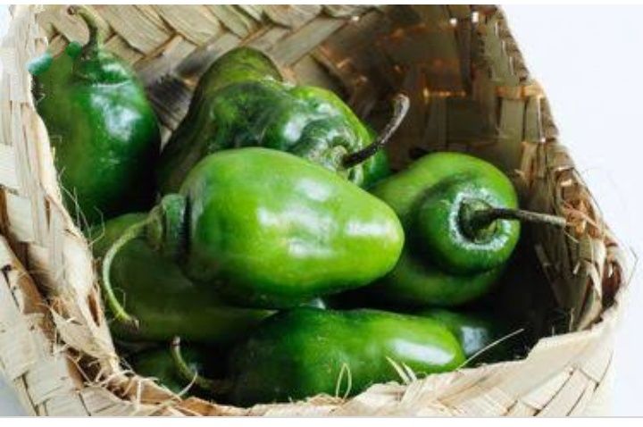 cabe gendot cabai bendot cabai gendol bandung super dowerrr | Lazada ...