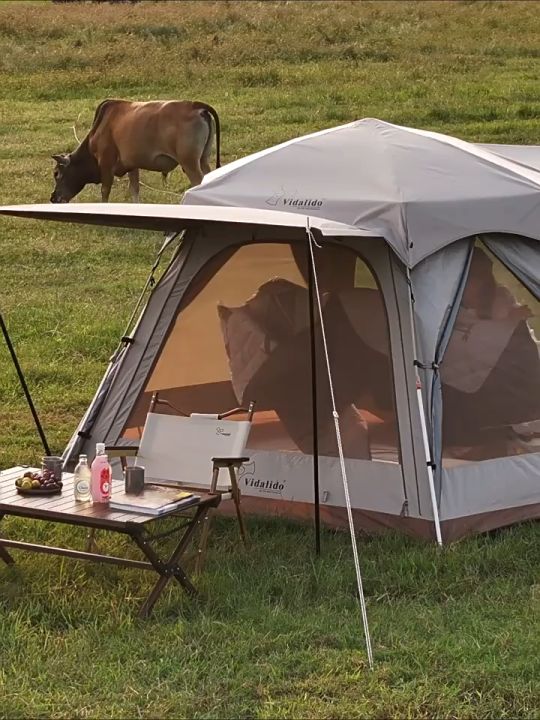 VIDALIDO 3-4 person Hexagon Family Instant Auto Tent 2.0 Double-Layer ...