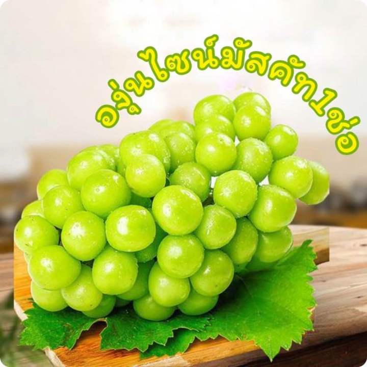 พร้อมส่ง‼️องุ่นไซมัสคัท (1ช่อ500g-700g) สายพันธุ์ญี่ปุ่น Shine Muscat องุ่นไซมัสคัส องุ่นไซมัส ...