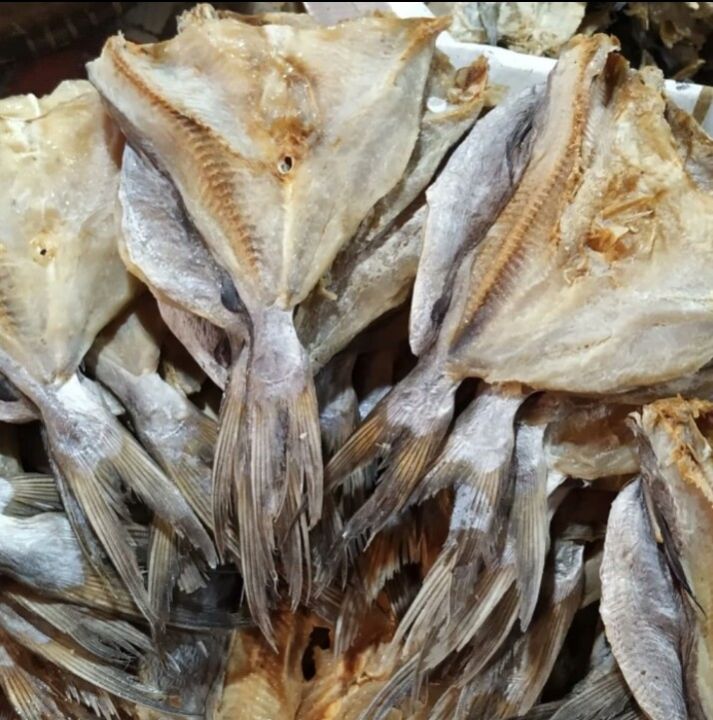 Ikan Asin Utik atau Ja'an 300gr | Lazada Indonesia