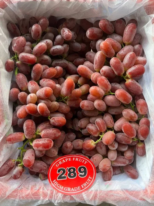 องุ่นแดงคิมสัน🍇 สายพันธุ์ออสเตรเลีย🇦🇺 รุ่นตะกร้า น้ำหนัก 4 กิโล สวยมากๆ ...