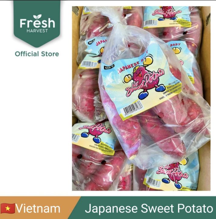 Japanese Yellow Sweet Potato (500g+-) 日本黄番薯 | Lazada