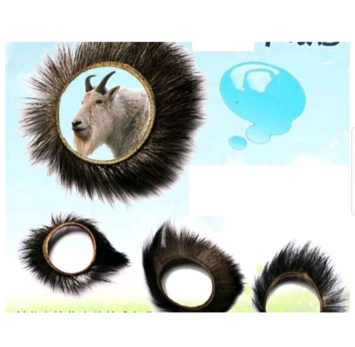 PILIK MATA NG KAMBING (goat eyelash)makapal at matibay | Lazada PH