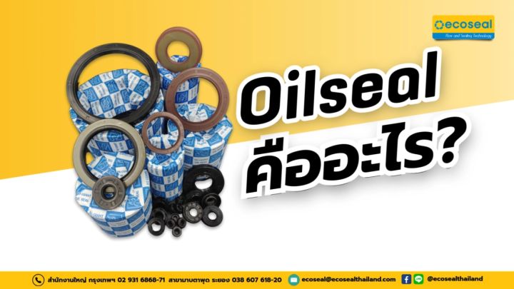 ออยซีล ซีลน้ำมัน Oilseal รุ่น TC วัสดุ NBR ขนาดวงใน(ID) 190 มม. ใช้กับเพลาขนาด 190 มม. | Lazada ...