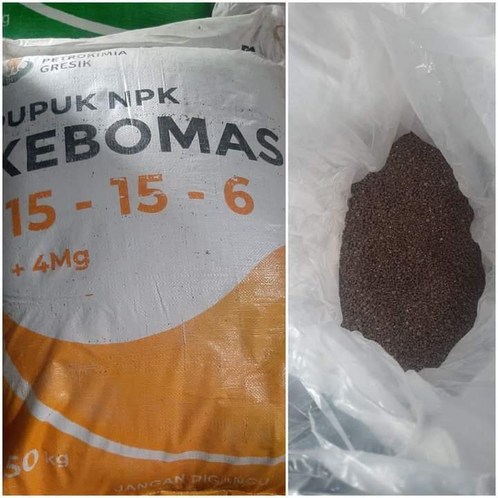 PUPUK NPK KEBOMAS 15 15 6+4mg. repack 1kg | Lazada Indonesia