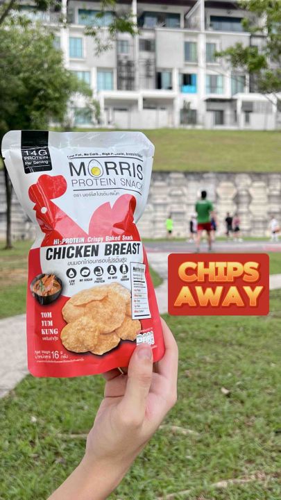 Morris PROTEIN SNACK Crispy Baked Chicken Chips Vegan Soya Stick High ...