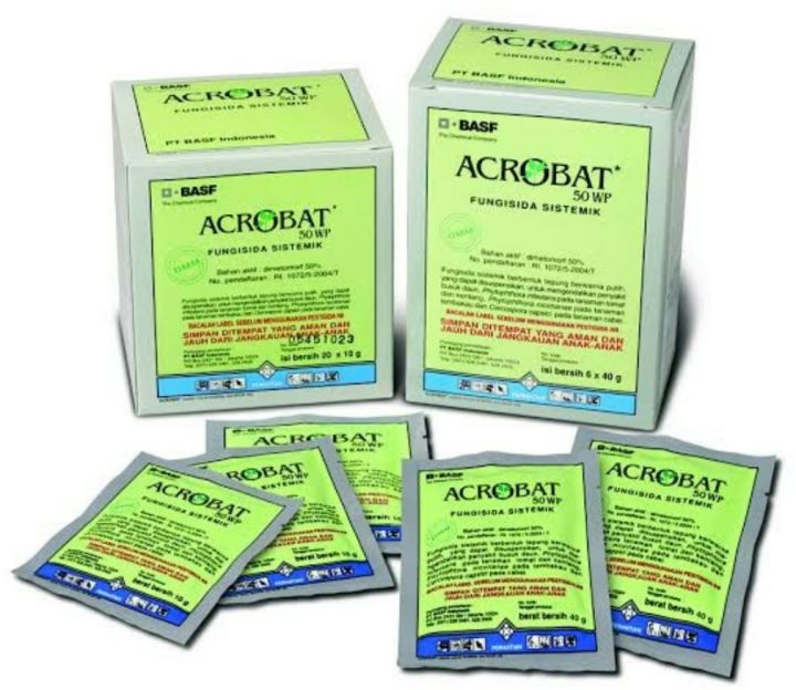 Fungisida Acrobat kemasan 10gr 1 box ( isi 20 sachet) | Lazada Indonesia