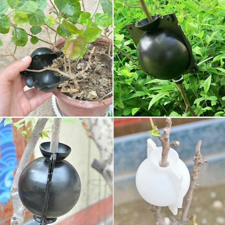 Plant Rooting Device Rooting Ball Plant Rooter Box High Pressure ...