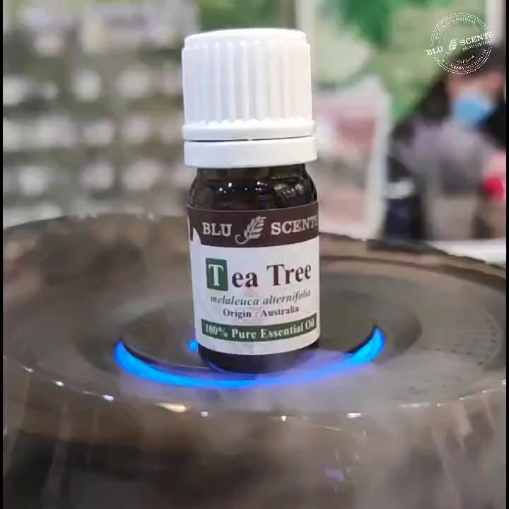 Blu Scents Tea Tree Pure Essential Oil - Refreshing, Antibacterial ...