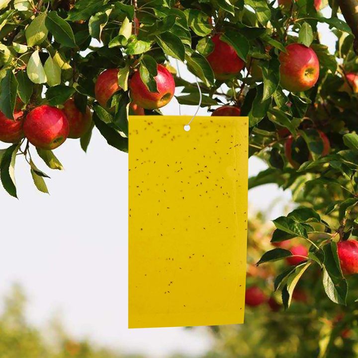 Sticky Fly Traps,Dual-Sided Sticky Traps,Fly Paper Stickers, Plant Fly ...