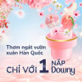 Combo 2 Nước Xả Vải DOWNY Hương Nước Hoa Cao Cấp & Trái Cây Xuân Hàn ...