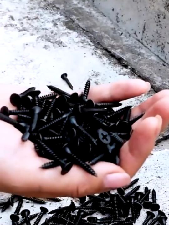 (100 PCS) Black Screw Gypsum Screw for Wood and for Metal 1 inch to 3 ...