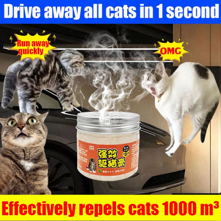 No feral cats in 10 years cat repellent gel Run away at the smell ...
