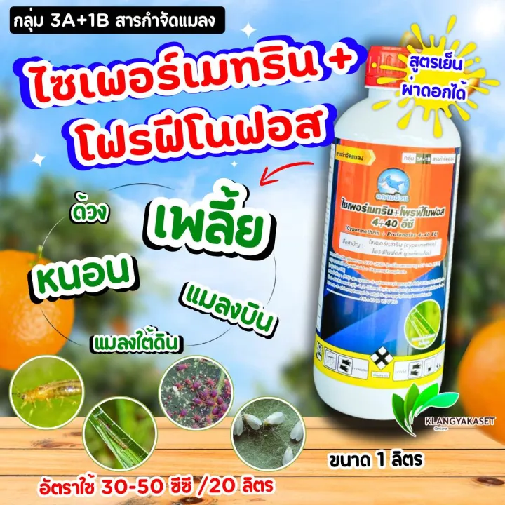 ไซเพอร์เมทริน +โฟรฟีโนฟอส ฉลาม ขนาด 1000 ซีซี 🔴🔴🔴 ( สูตรเย็น ) สารกำจัด ...