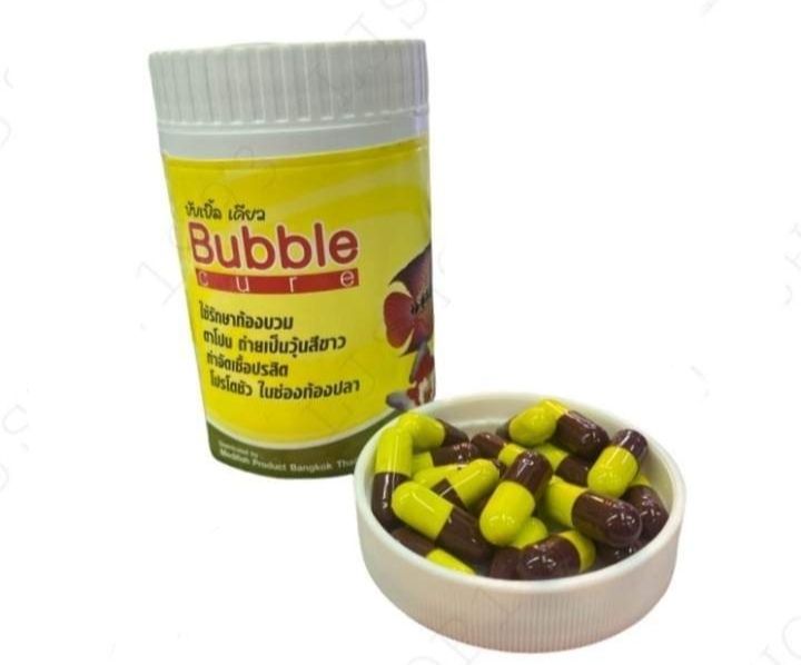 Bubble Cure บับเบิ้ล เคียว รักษาโรคปลาสวยงาม ท้องบวม ตาโปน ถ่ายเป็นวุ้น ...