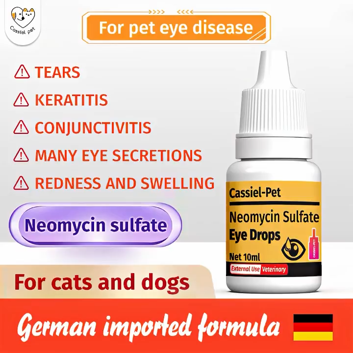 CASSIEL PET Gentamicin Sulfate Eye Drops For Infection For Dogs & Cats ...