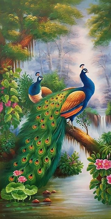 POSTER CETAK, BURUNG MERAK, Hiasan Dinding/ Lukisan Cetak/ Tanpa ...