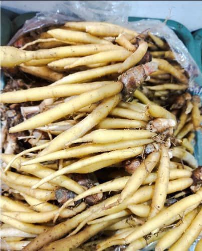 akar temu kunci 100gr | Lazada