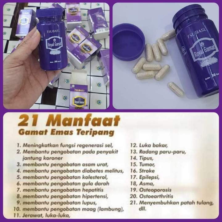 GAMAT BASU- ROYAL GAMAT/TSUBASU ROYAL GAMAT (mengandung Sticophus ...