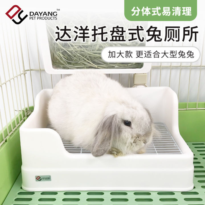 Dayang New Split Tray Toilet Large Rabbit Toilet Anti-Flip Fixed Double ...