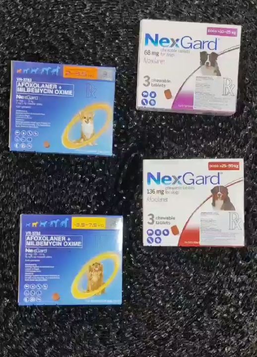 Nexgard Chewable Flea & Tick Protection with Sticker | Lazada PH