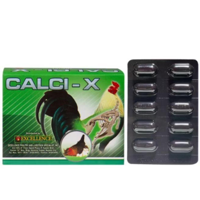 EXCELLENCE CALCI- X CALCIUM SUPLEMENT ( SOLD 10 TABLETS) | Lazada PH
