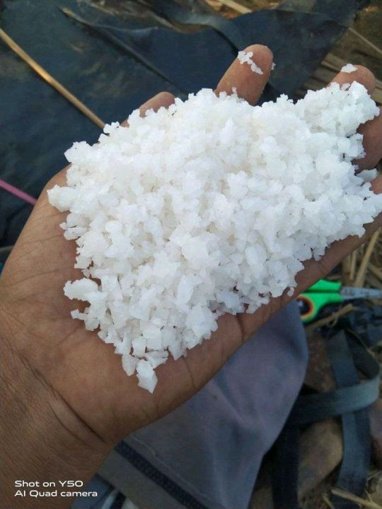 garam grosok k1 | Lazada Indonesia