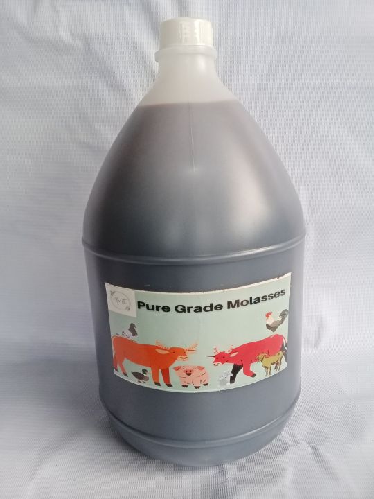 Molasses Pure grade 1 Gallon 5 kg (for animals,organic farming) | Lazada PH