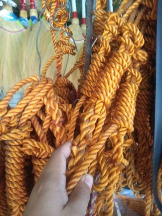 Busal ng Baka or Cow Mortigon Nylon Rope | Lazada PH