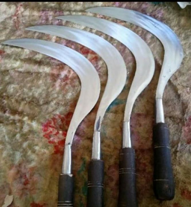 arit rumput baja per Madura | Lazada Indonesia