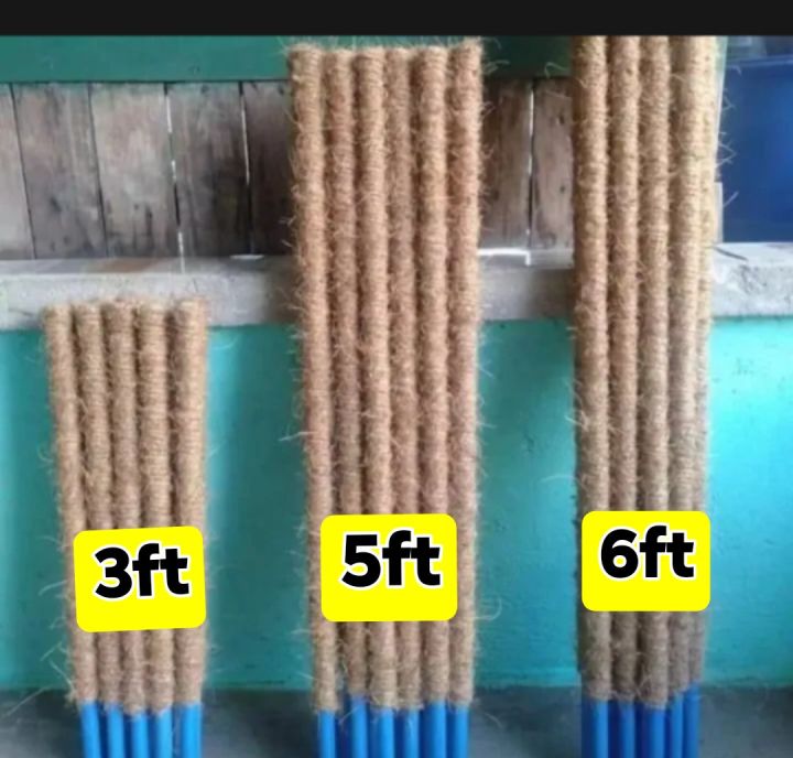 2ft 3ft 4ft 5ft QUALITY COCOPOLE MUST USE IN PLANTS | Lazada PH