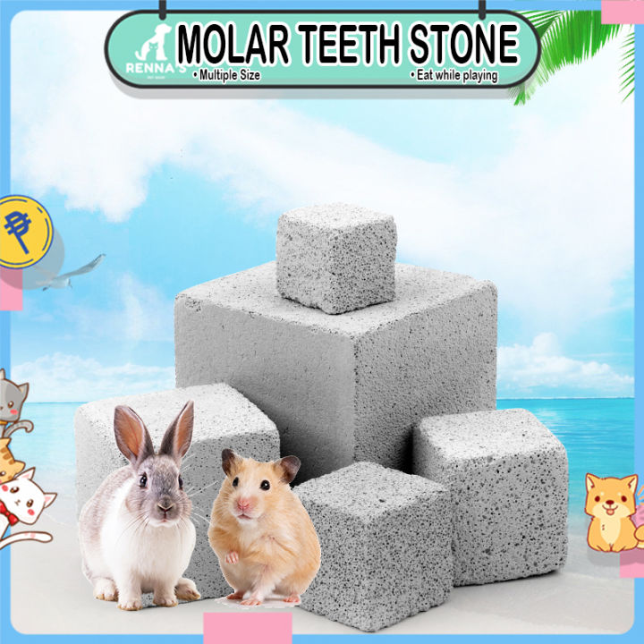Renna's Hamsters Molar Teeth Stone Small Pet Treats Hamsters Food ...